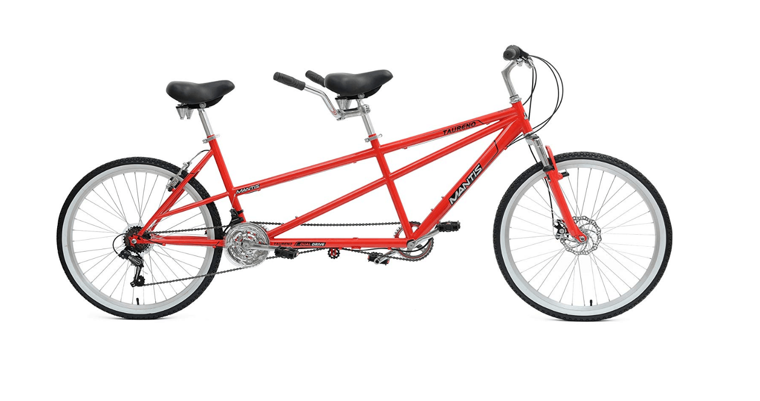 10 Best Tandem Bikes in 2025 (All Reviewed)