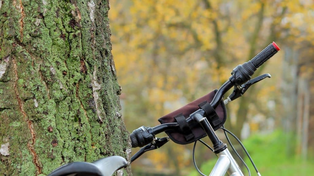 Shimano Revoshift Review: Is it a Good Choice? | Shimano Revoshift Review
