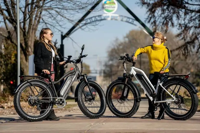 Which Electric Bikes are Made in Canada: A Guide to Canadian E-Bikes ...